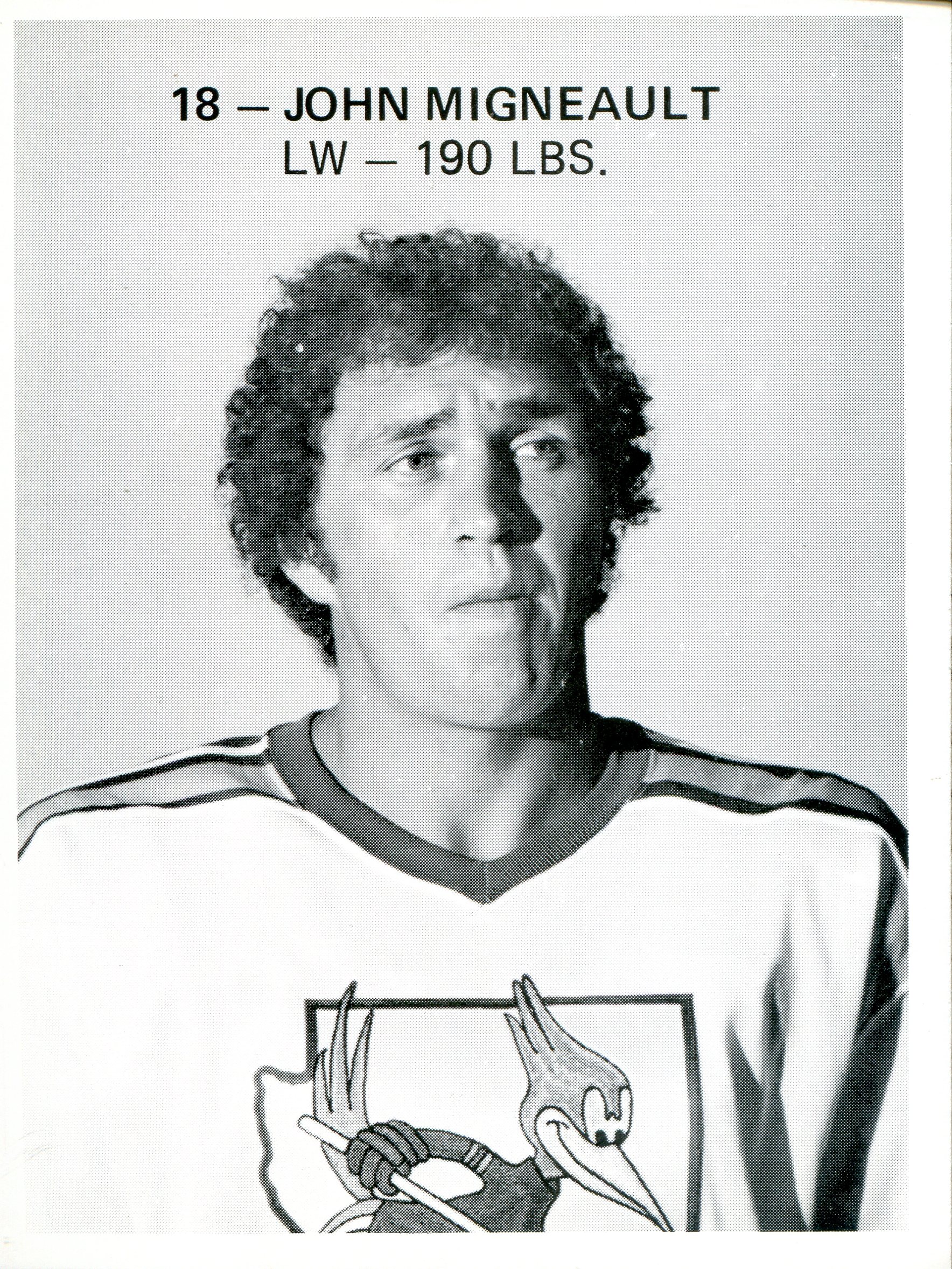 1975-76 Phoenix Roadrunners WHA Hockey Trading Card #1-22 - Choose Your ...