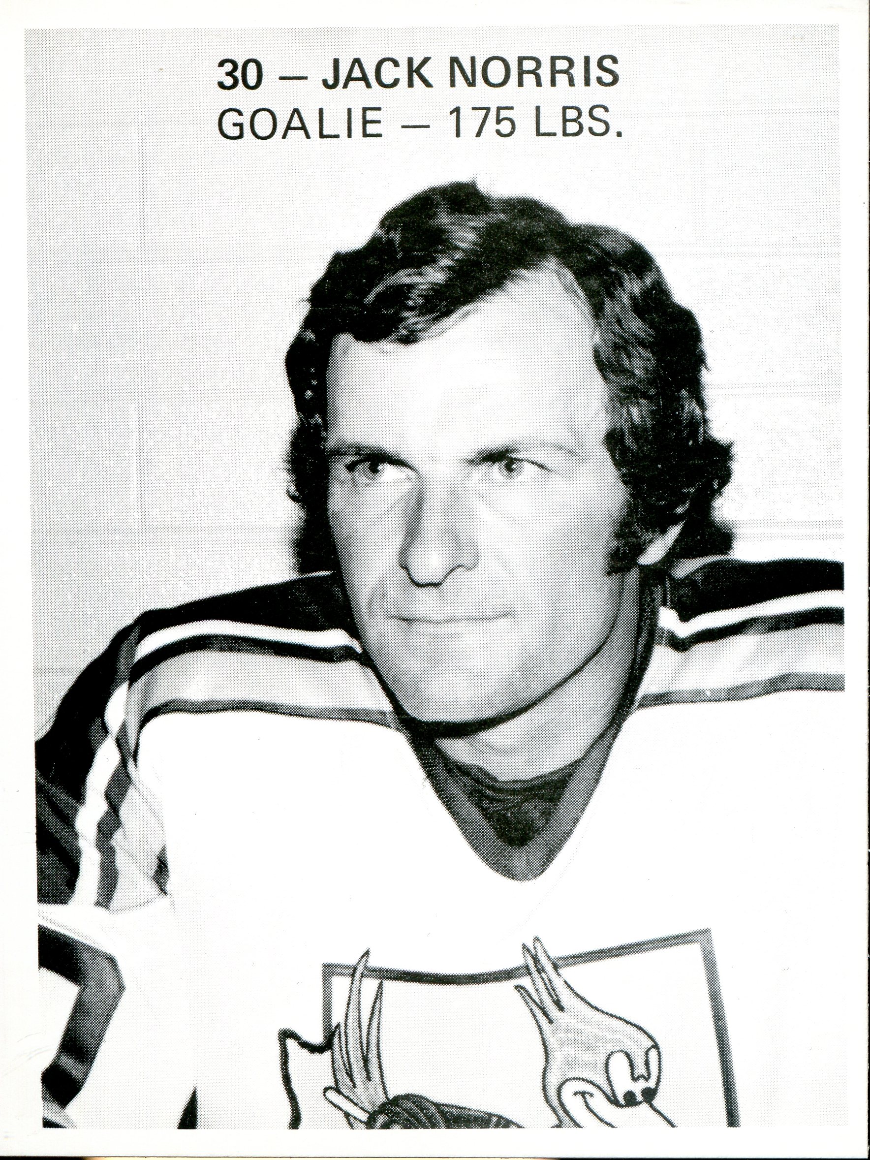 1975-76 Phoenix Roadrunners WHA Hockey Trading Card #1-22 - Choose Your ...