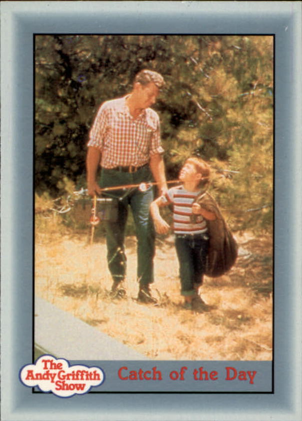 1990-91 Andy Griffith Show Complete Series Trading Card Pick | eBay