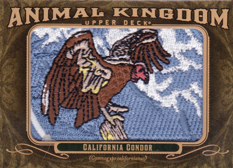 Animal Kingdom cards challenge hobby trends - Beckett News