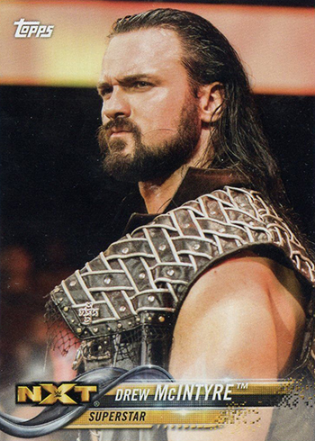 2018 Topps WWE Variations Gallery, Checklist and Details