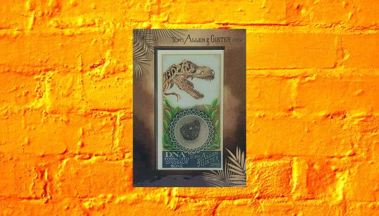 Some Collectible Quirks of 2019 Topps Allen & Ginter Relic Cards ...