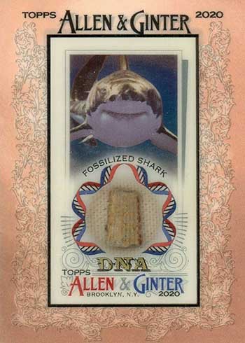 10 Fierce and Fun Shark-Themed Trading Cards
