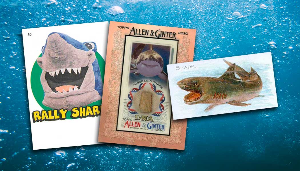 10 Fierce and Fun Shark-Themed Trading Cards