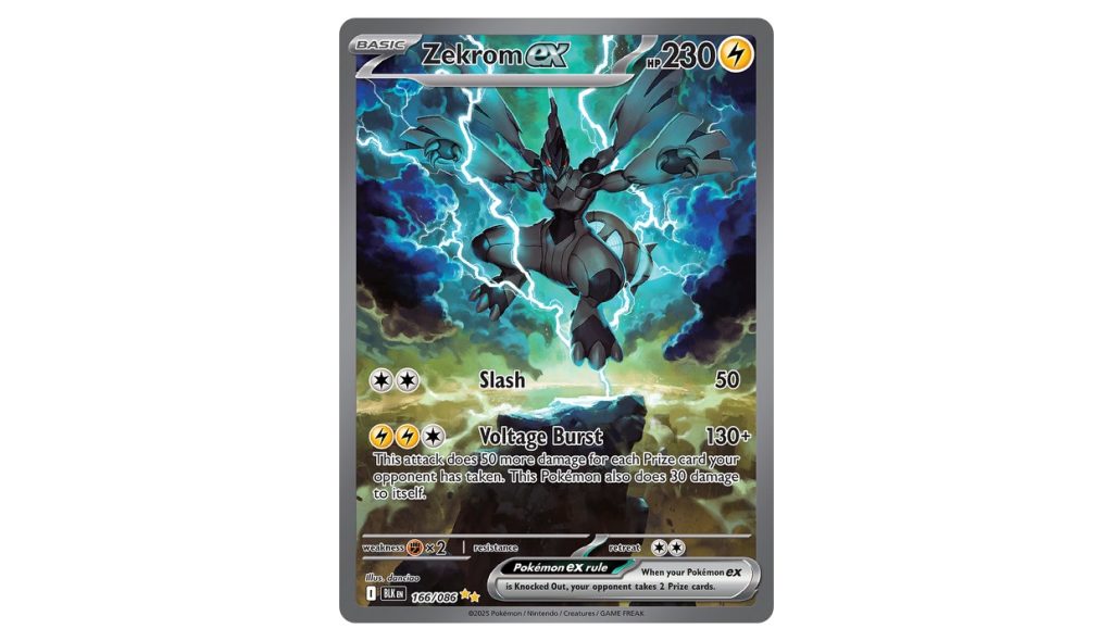 Pokemon TCG Black Bolt and White Flare Chase Cards: What Are the Most ...